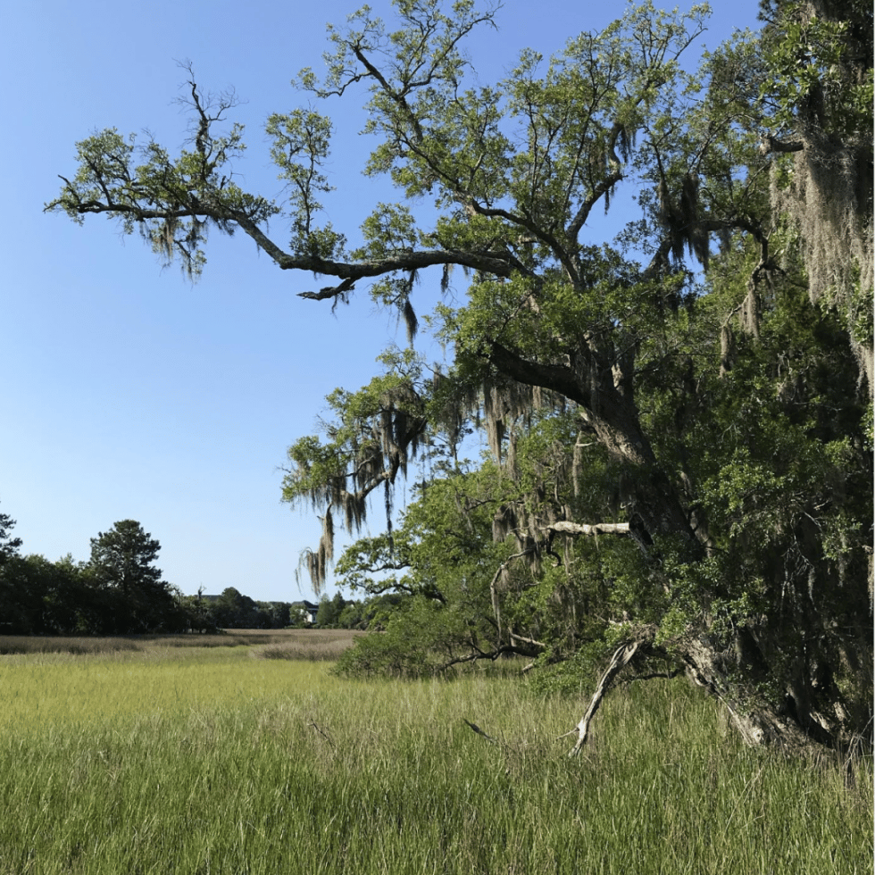 Daniel Island Property Owners' Association