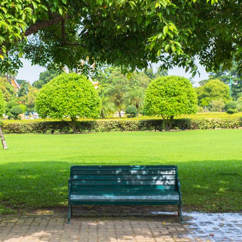 Treehouse - Daniel Island Property Owners' Association